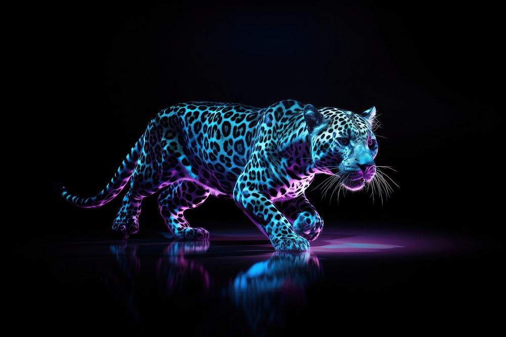 Neon full body leopard wildlife | Premium Photo Illustration - rawpixel