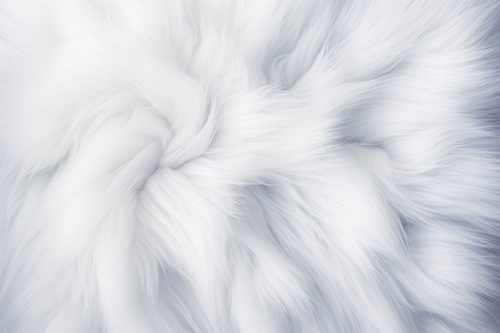 White background fur backgrounds monochrome. | Free Photo - rawpixel