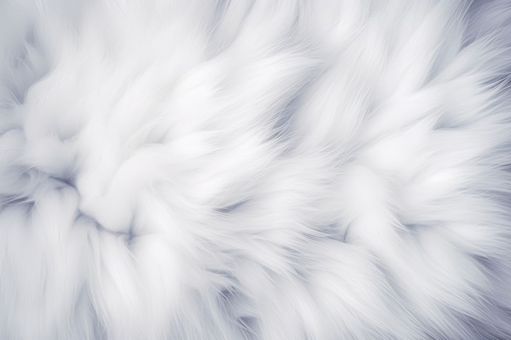 White background fur backgrounds monochrome. | Premium Photo - rawpixel