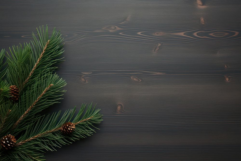 Pine tree and wood backgrounds | Free Photo - rawpixel
