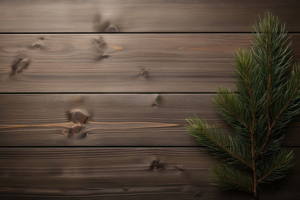 Pine tree and wood backgrounds | Premium Photo - rawpixel