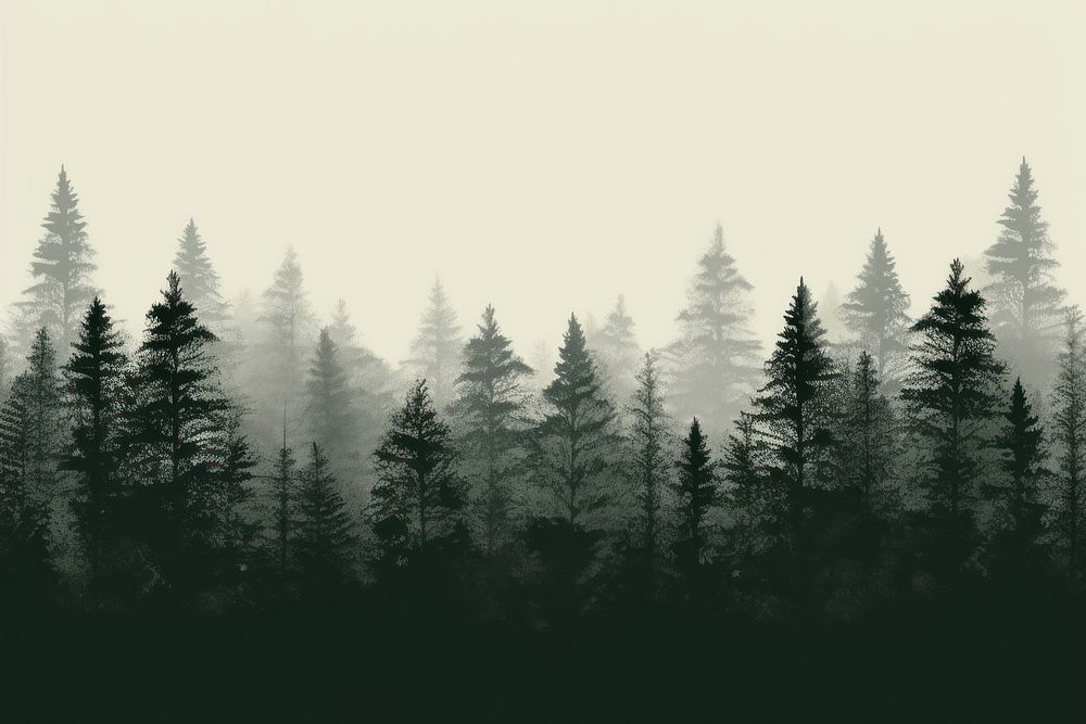 Forest backgrounds outdoors woodland. | Premium Photo Illustration ...