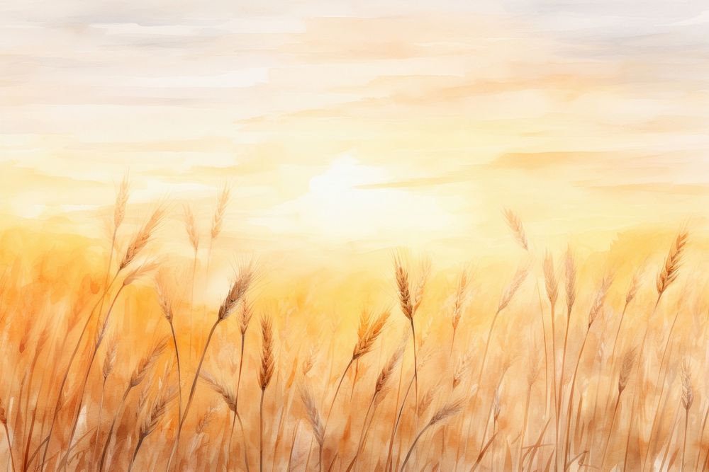 Wheat field watercolor background backgrounds | Free Photo Illustration ...