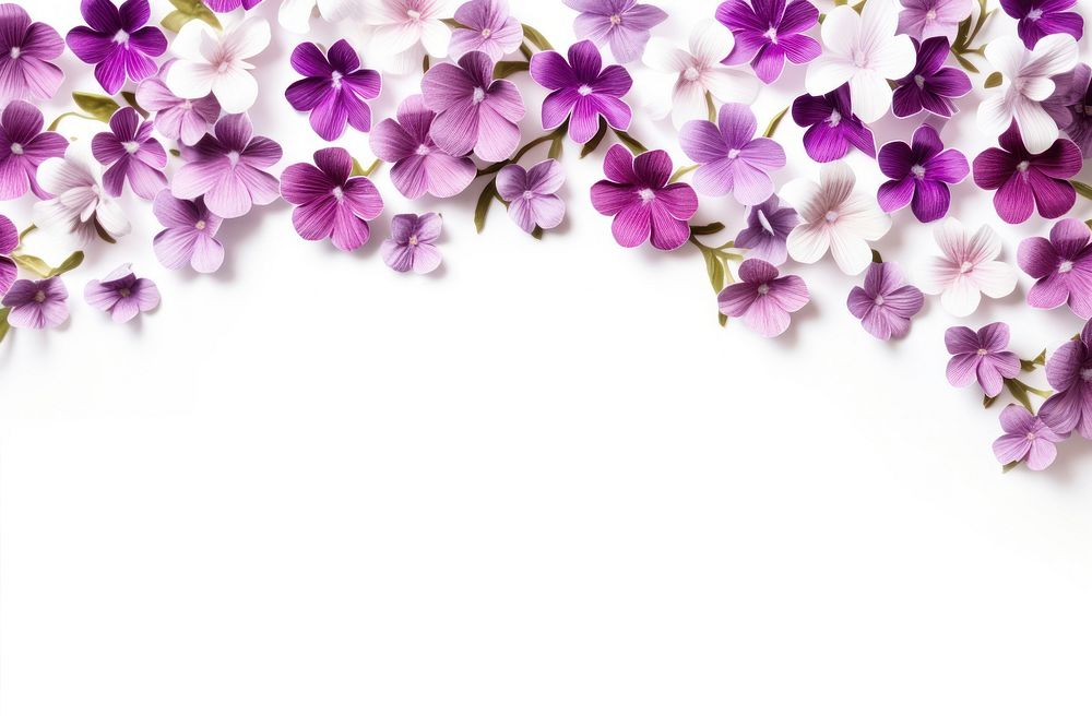 Primrose floral border backgrounds blossom | Free Photo - rawpixel