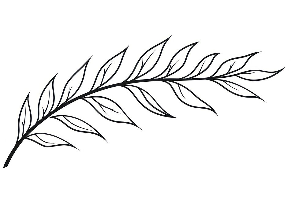 Leaf sketch leaf pattern. | Premium Photo Illustration - rawpixel