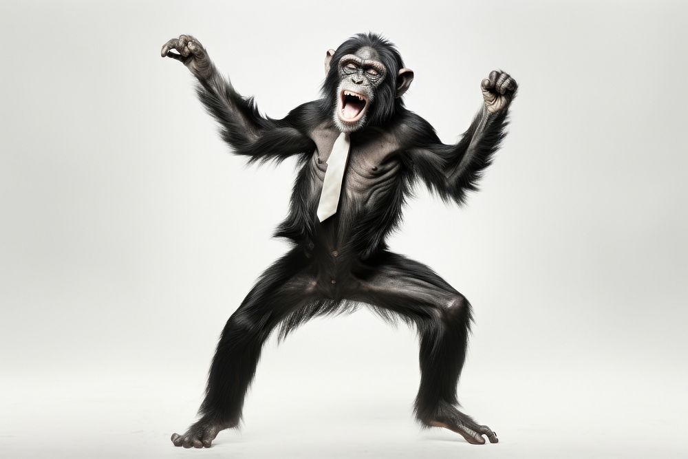 Happy smiling monkey dance wildlife | Free Photo Illustration - rawpixel