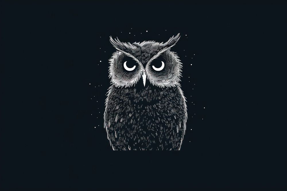 Owl animal nature black. | Free Photo Illustration - rawpixel
