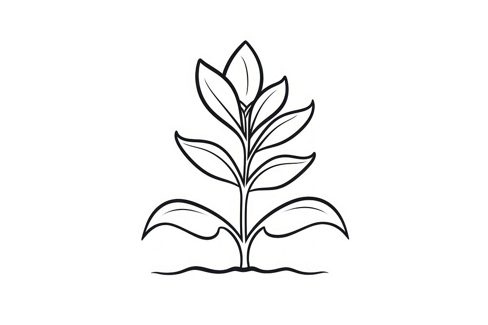Plant drawing sketch line | Free Photo Illustration - rawpixel