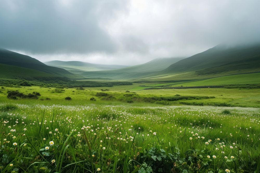 Clover field land landscape grassland | Free Photo - rawpixel