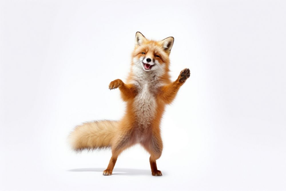 Happy smiling Fox dance fox | Premium Photo - rawpixel