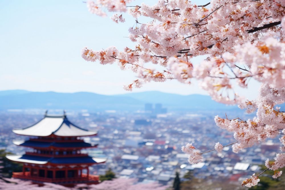 Kiyomizu-dera Temple blossom flower temple. | Premium Photo - rawpixel
