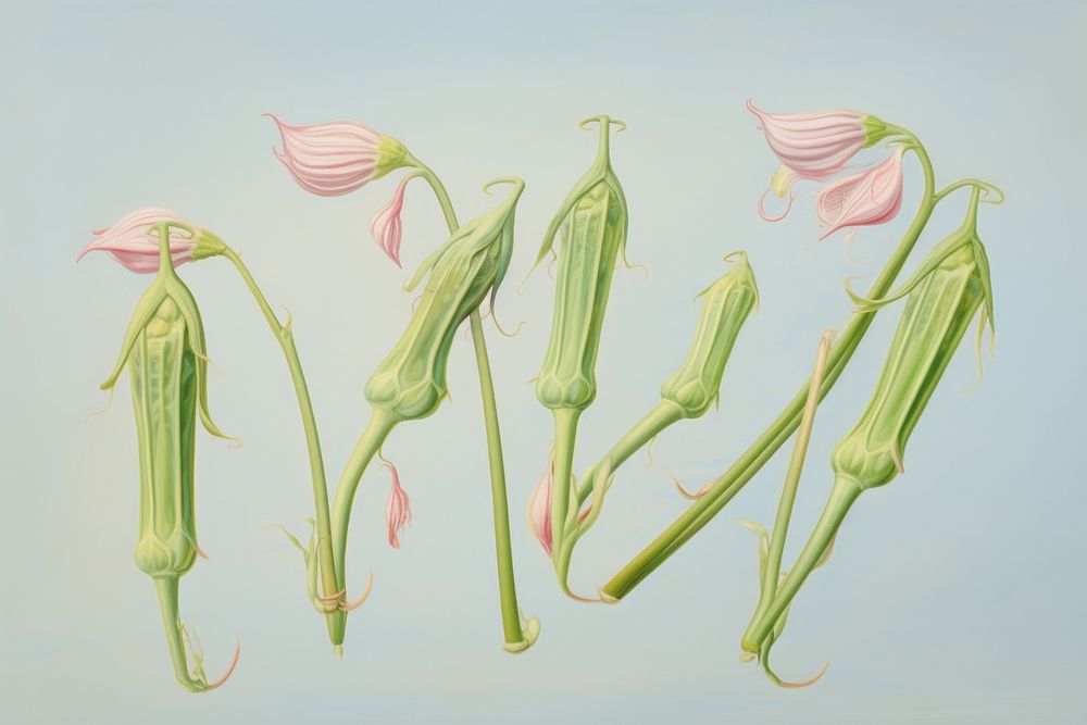 Painting okra vegetable plant food. | Premium Photo Illustration - rawpixel