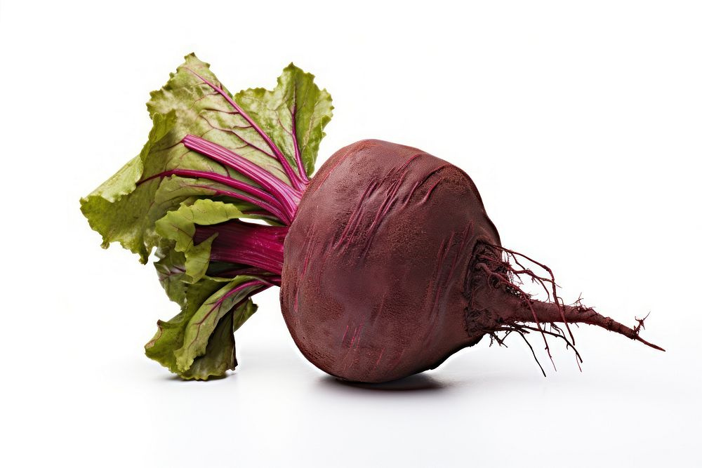 Beet root vegetable plant food. | Premium Photo - rawpixel