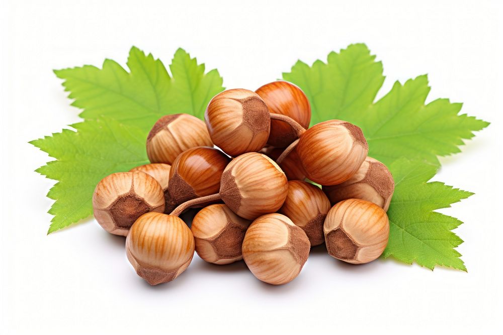 Hazelnuts vegetable plant food. | Free Photo - rawpixel