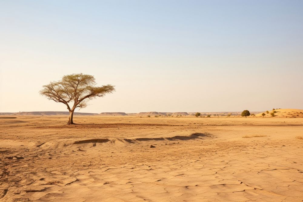 Desert rajasthan landscape nature ground. | Free Photo - rawpixel