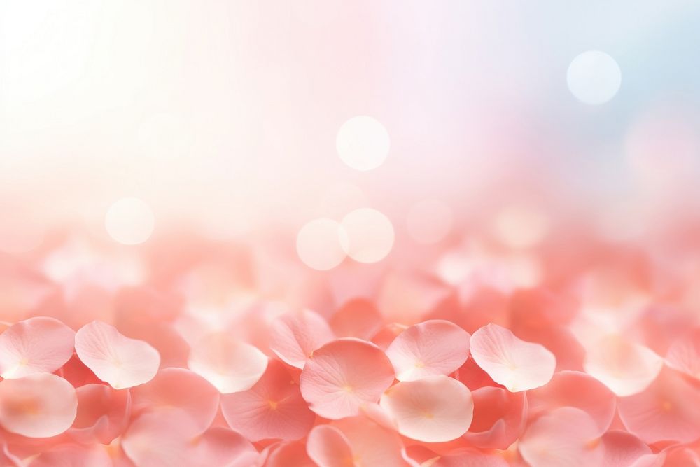 Rose petals falling background backgrounds | Free Photo - rawpixel