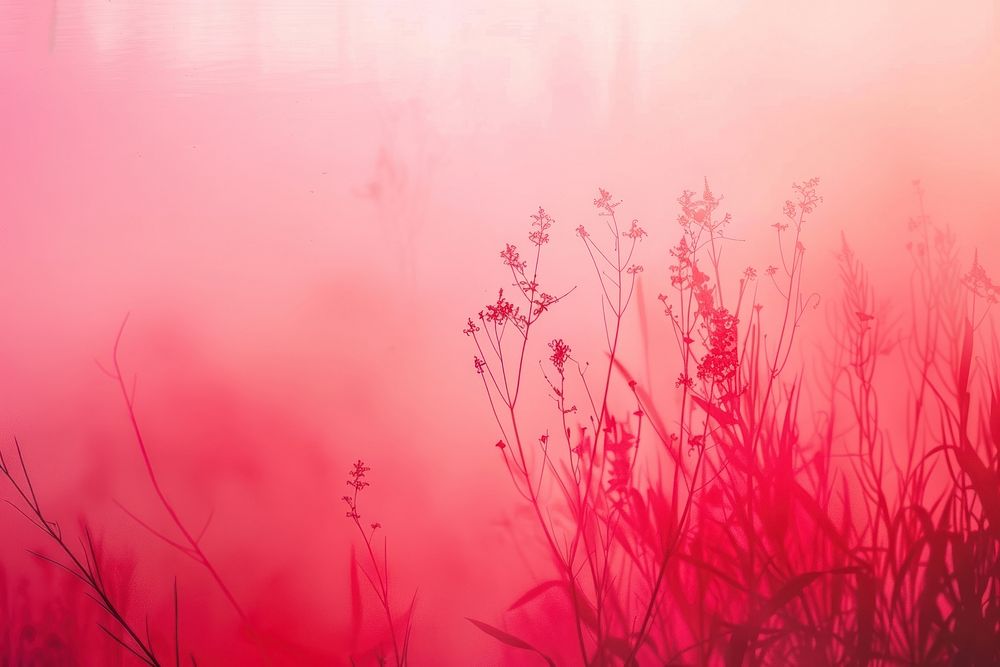 Red backgrounds outdoors nature | Free Photo - rawpixel