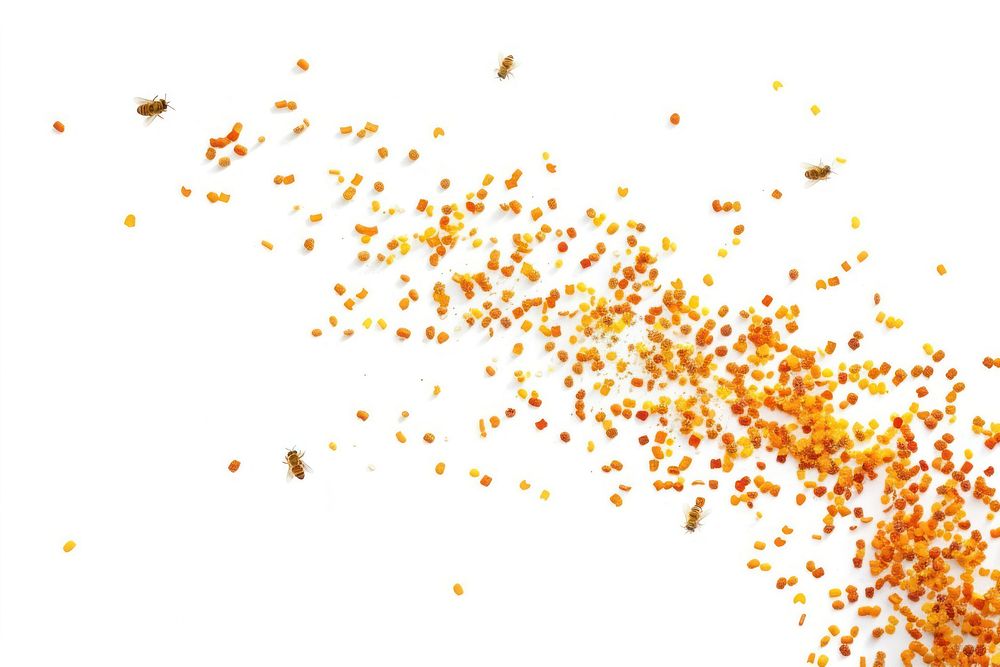 Bee pollen backgrounds bee white | Free Photo - rawpixel