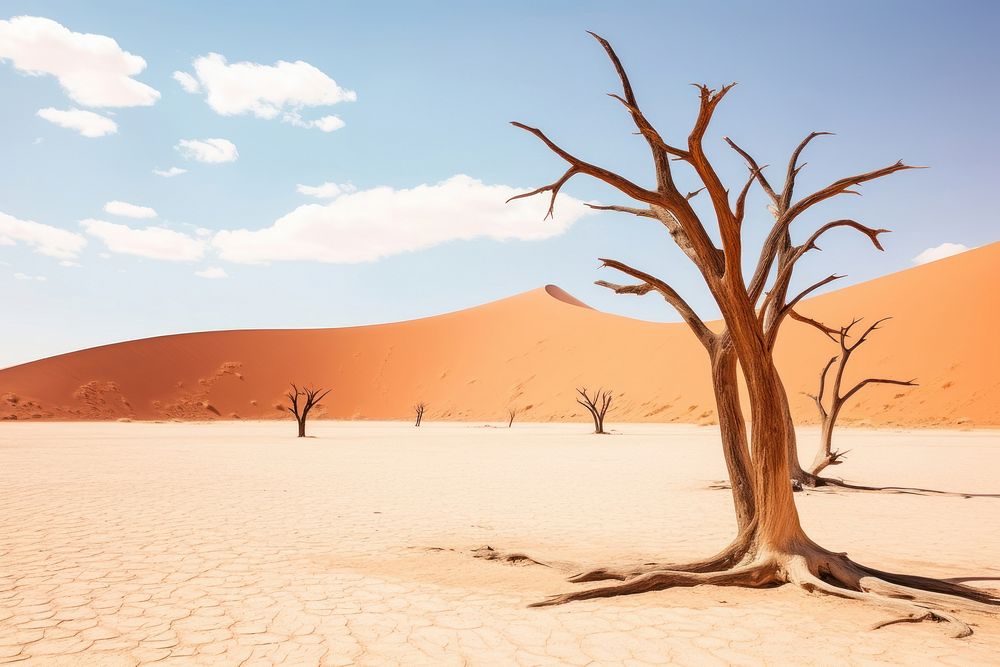 Nature landscape outdoors ground. | Free Photo - rawpixel