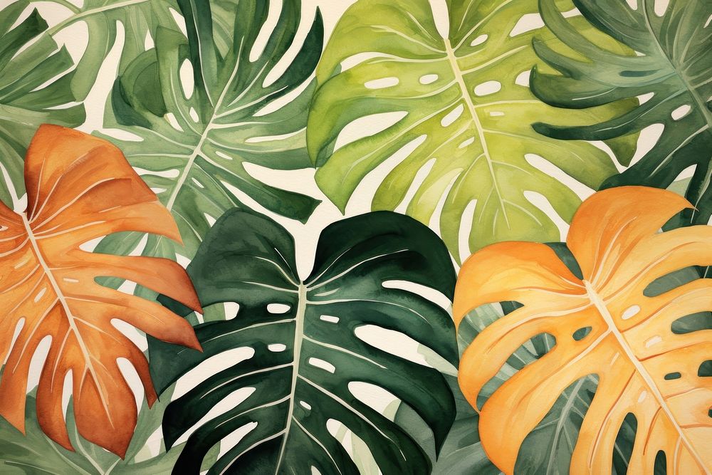Monstera backgrounds tropics nature | Free Photo Illustration - rawpixel