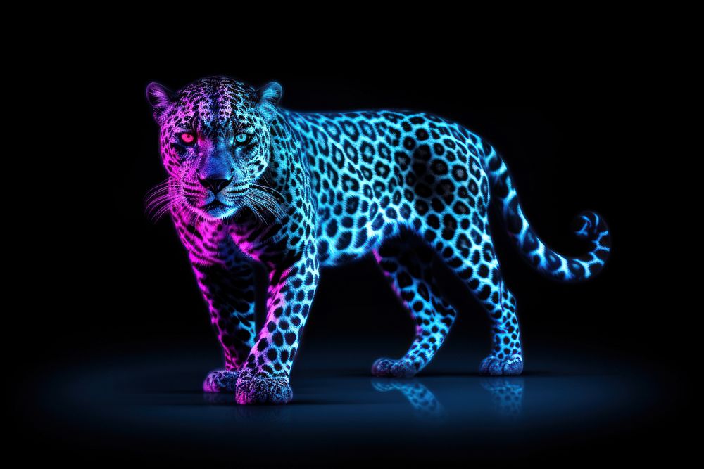 Neon full body leopard wildlife | Premium Photo Illustration - rawpixel