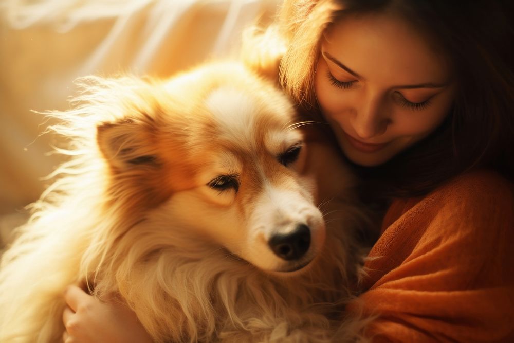 Person hugging dog mammal animal | Free Photo - rawpixel