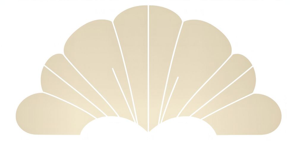 Shell divider ornament invertebrate appliance | Free Photo Illustration ...