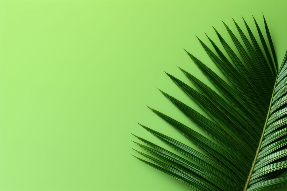 Plant green leaf backgrounds. | Premium Photo - rawpixel