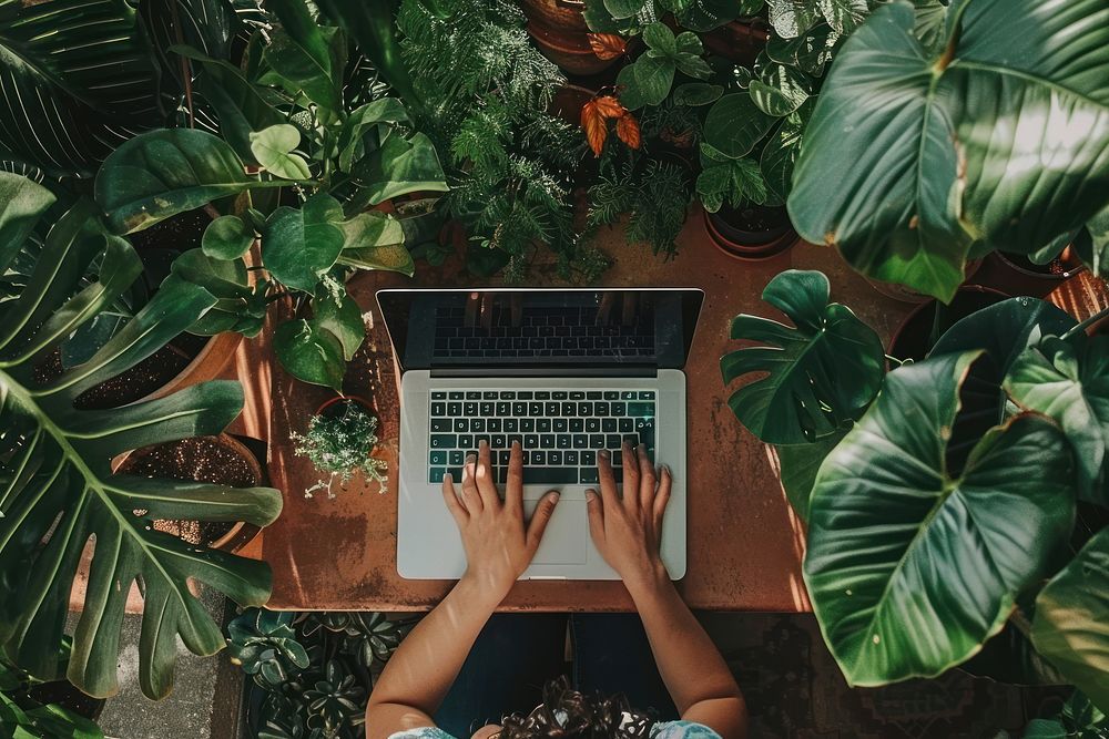 Hands typing laptop outdoors computer | Free Photo - rawpixel