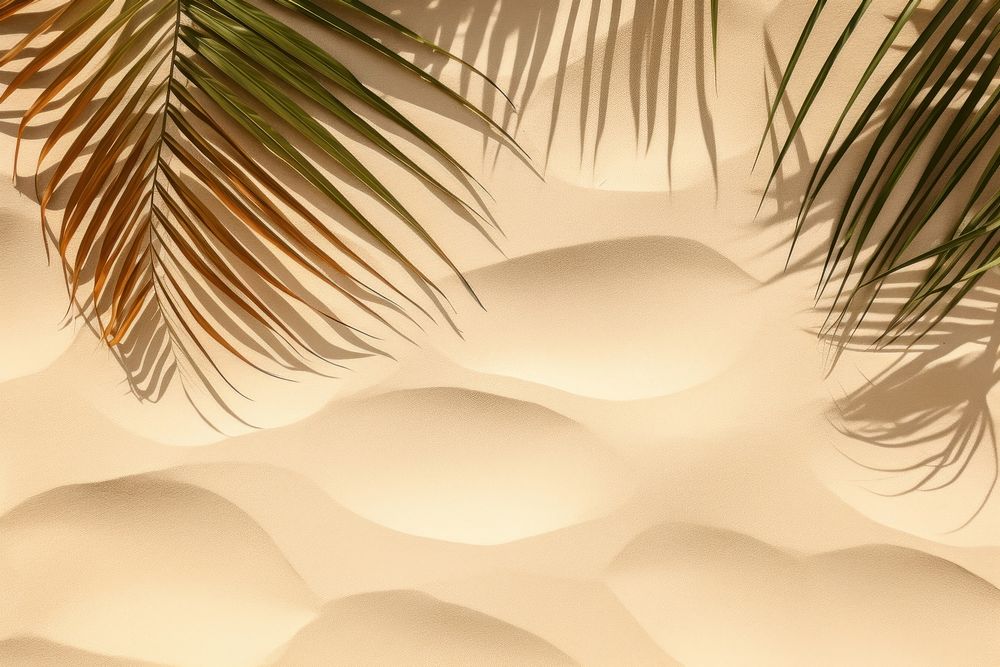 Palm leaves shadow sand backgrounds | Premium Photo - rawpixel