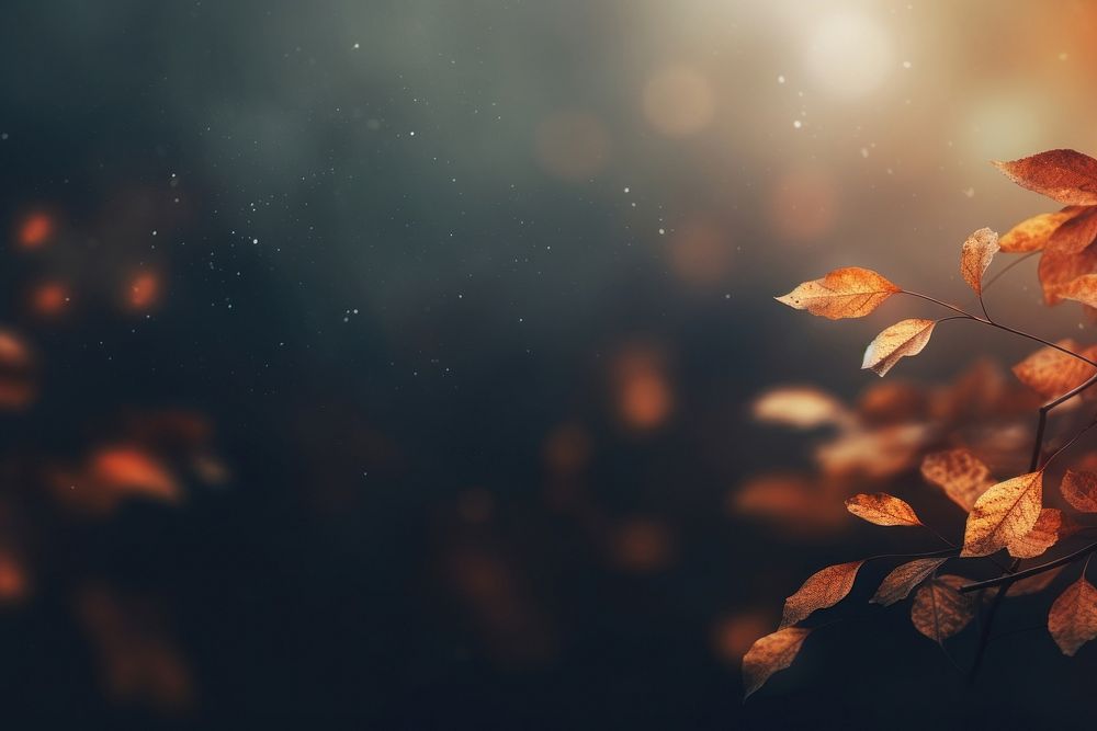 Dark autumn background backgrounds outdoors | Premium Photo ...