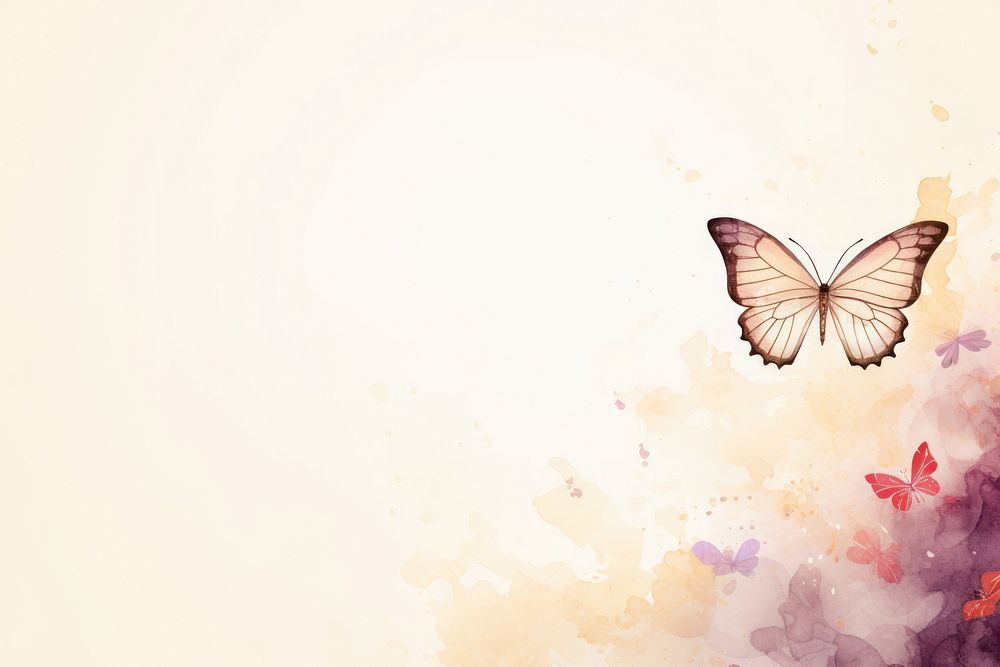 Tropical Butterfly minimal background butterfly | Free Photo ...