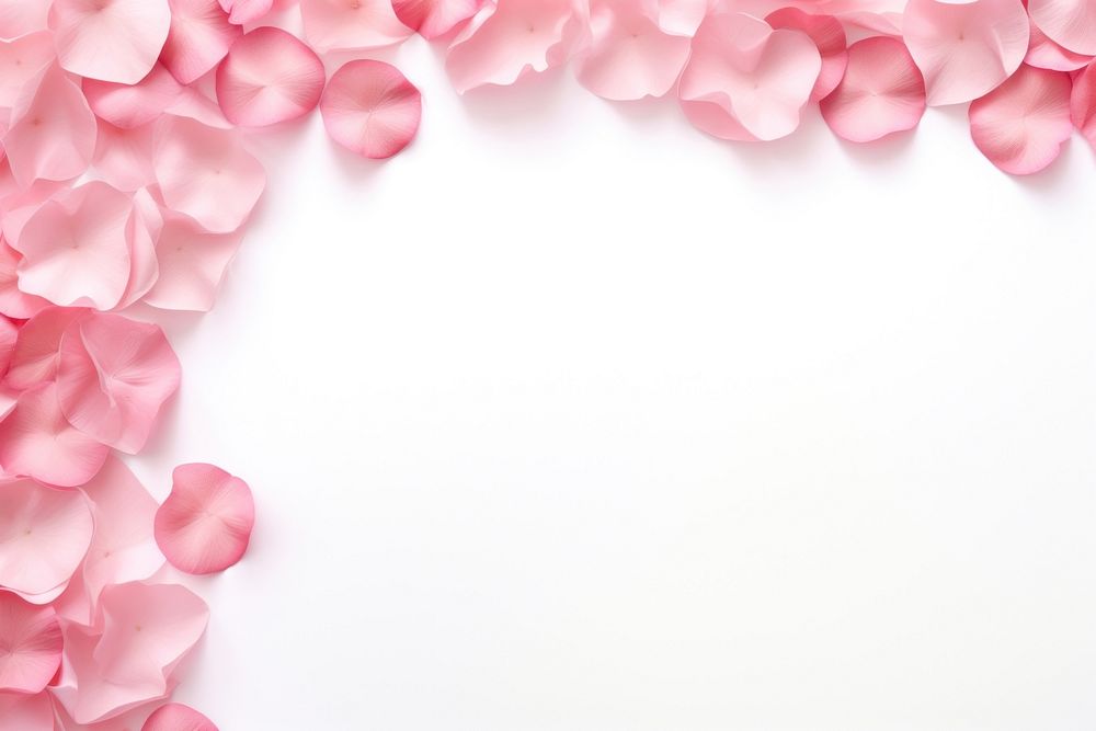 Rose petals floral border backgrounds | Premium Photo - rawpixel