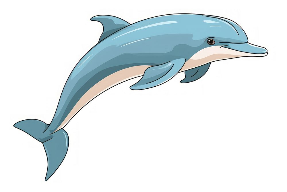 Dolphin cartoon animal mammal white | Premium Photo Illustration - rawpixel