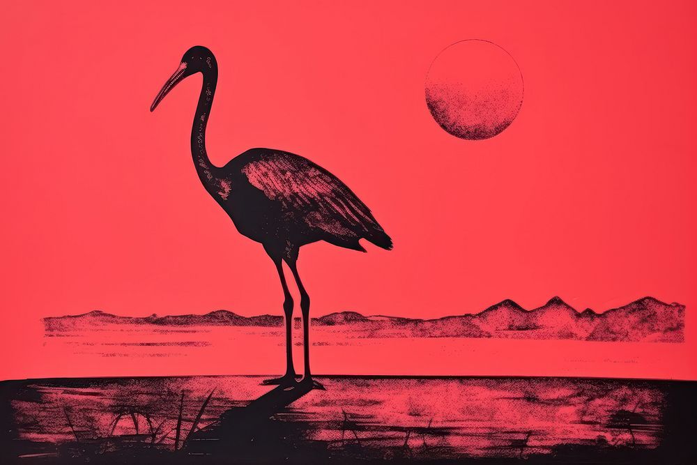 Flamingo outdoors animal nature | Free Photo Illustration - rawpixel