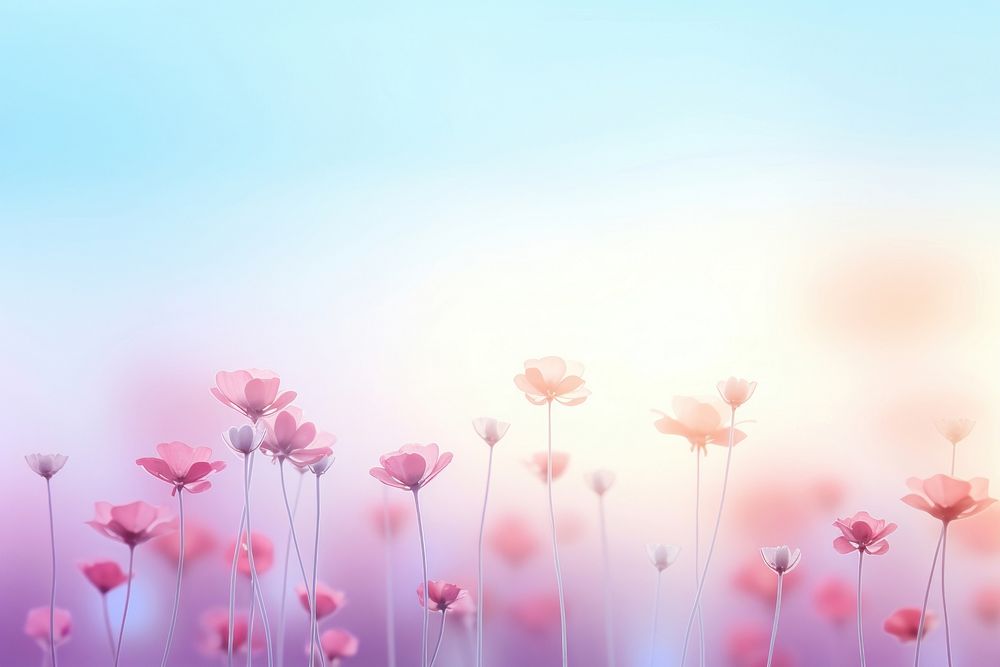Flowers wedding gradient background backgrounds | Free Photo ...