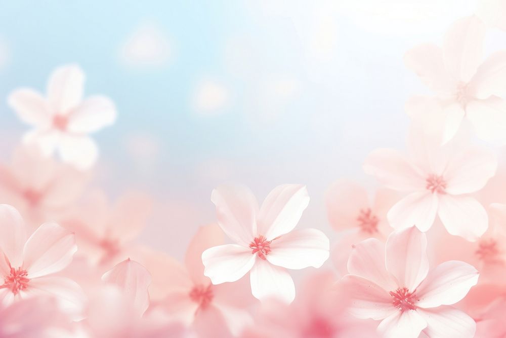 Flowers wedding gradient background backgrounds | Premium Photo ...