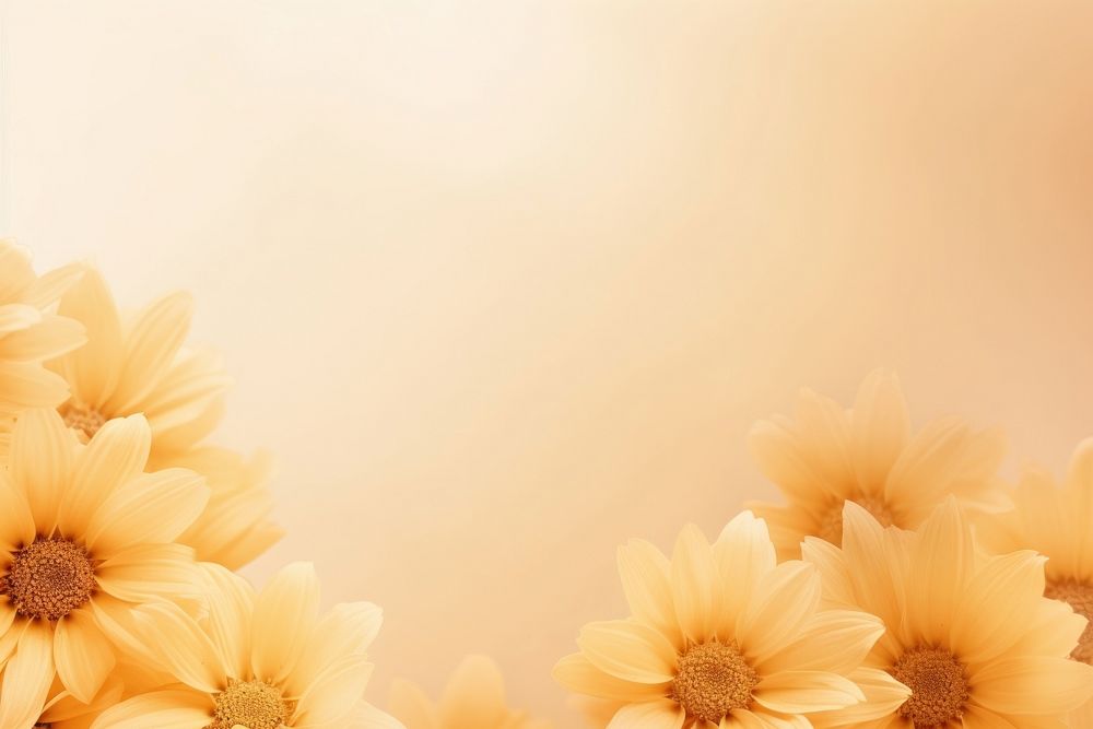 Sunflowers wedding gradient background backgrounds | Premium Photo ...