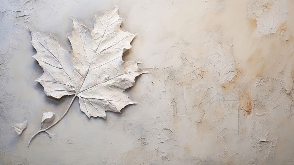Leaf rough plant wall. | Premium Photo - rawpixel