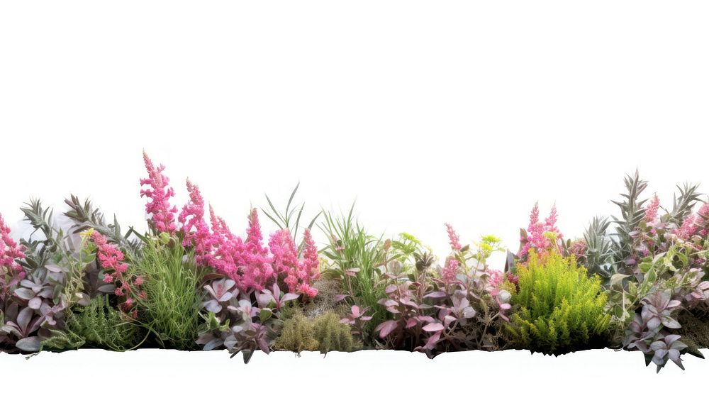 Flower bushes nature border outdoors | Premium Photo - rawpixel