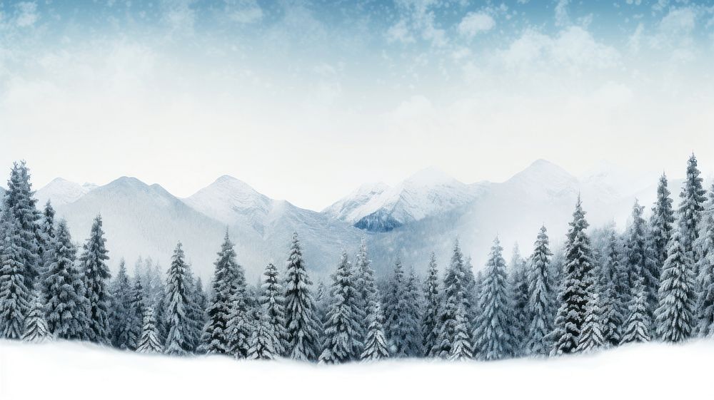 Forest snow backgrounds landscape. | Free Photo - rawpixel