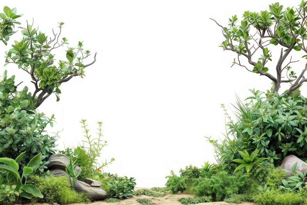 Nature vegetation landscape outdoors. | Premium Photo - rawpixel