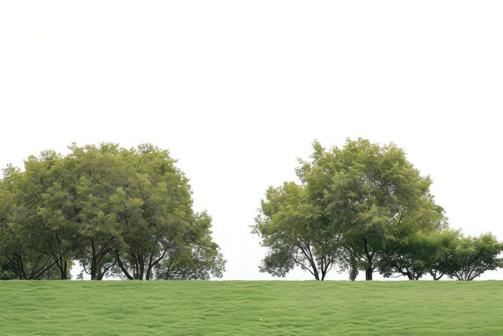 Nature landscape outdoors ground. | Free Photo - rawpixel