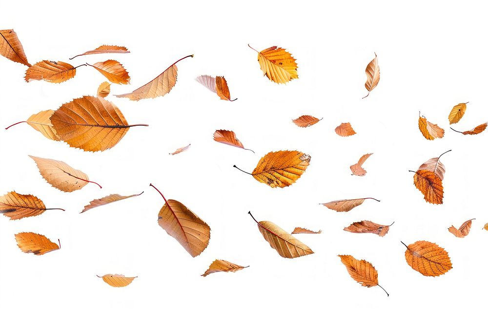 Flying Leaves backgrounds leaves plant. | Free Photo - rawpixel
