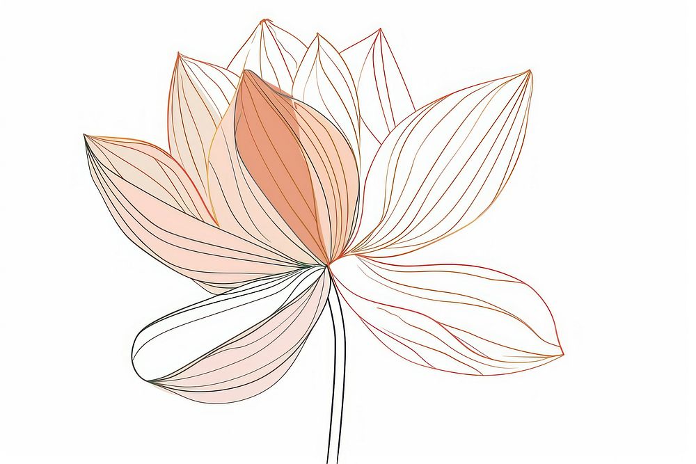 Single line drawing lotus pattern | Premium Photo Illustration - rawpixel