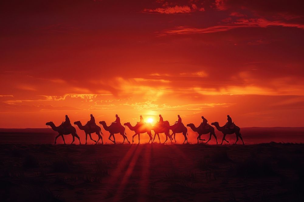 Camels riding sunset silhouette outdoors | Premium Photo - rawpixel
