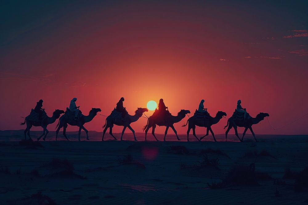 Camels riding sunset silhouette outdoors | Premium Photo - rawpixel