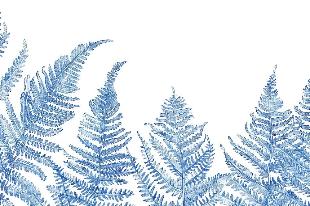 Vintage drawing boston fern leaves | Free Photo Illustration - rawpixel