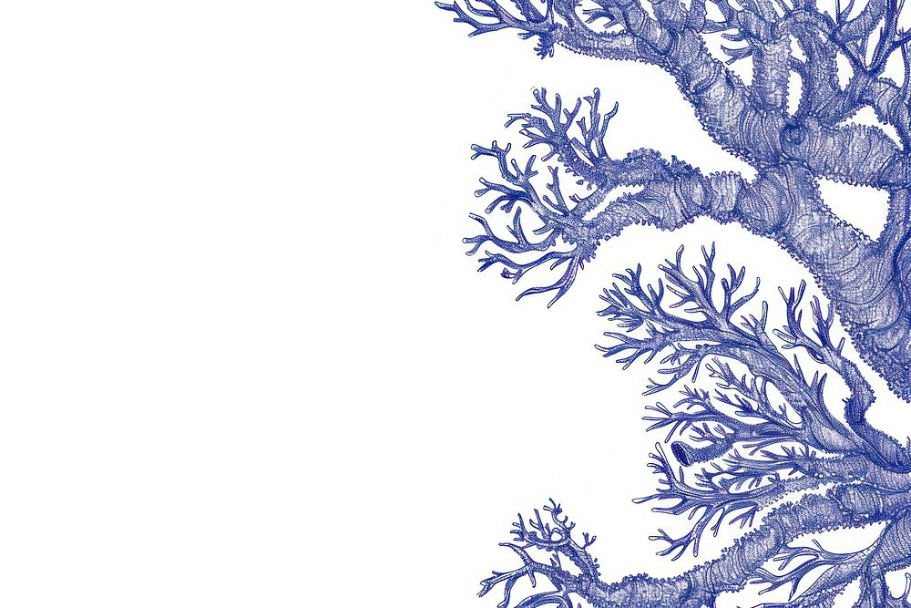 Vintage drawing finger coral illustrated | Free Photo Illustration ...