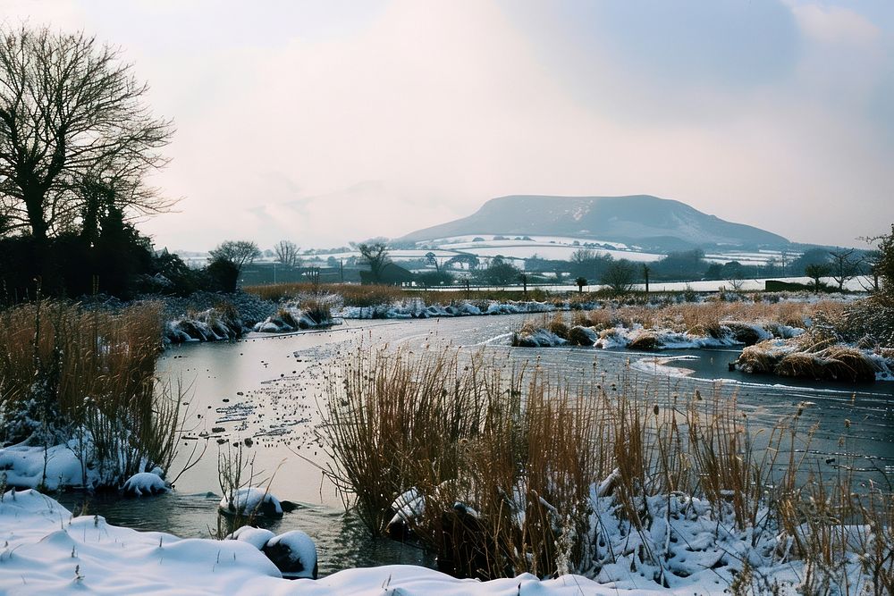 Ireland Dublin landscape winter vegetation | Free Photo - rawpixel